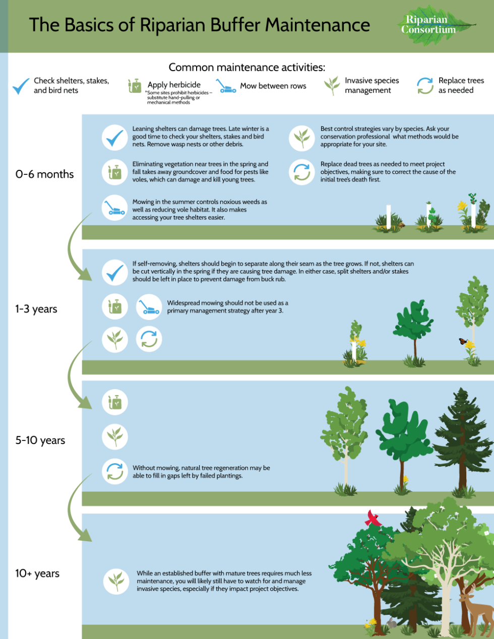 Buffer Maintenance / Stewardship | James River Consortium