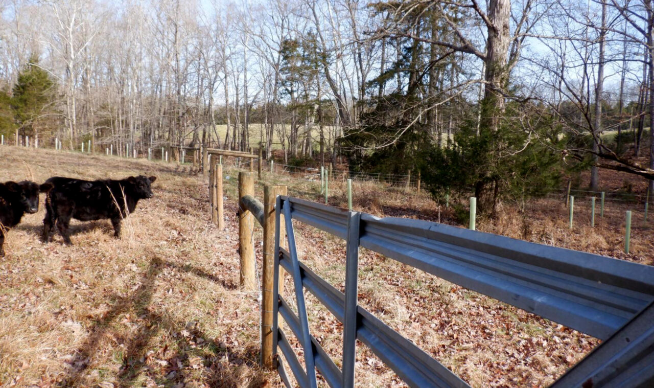 Hundred Year Farm | James River Consortium