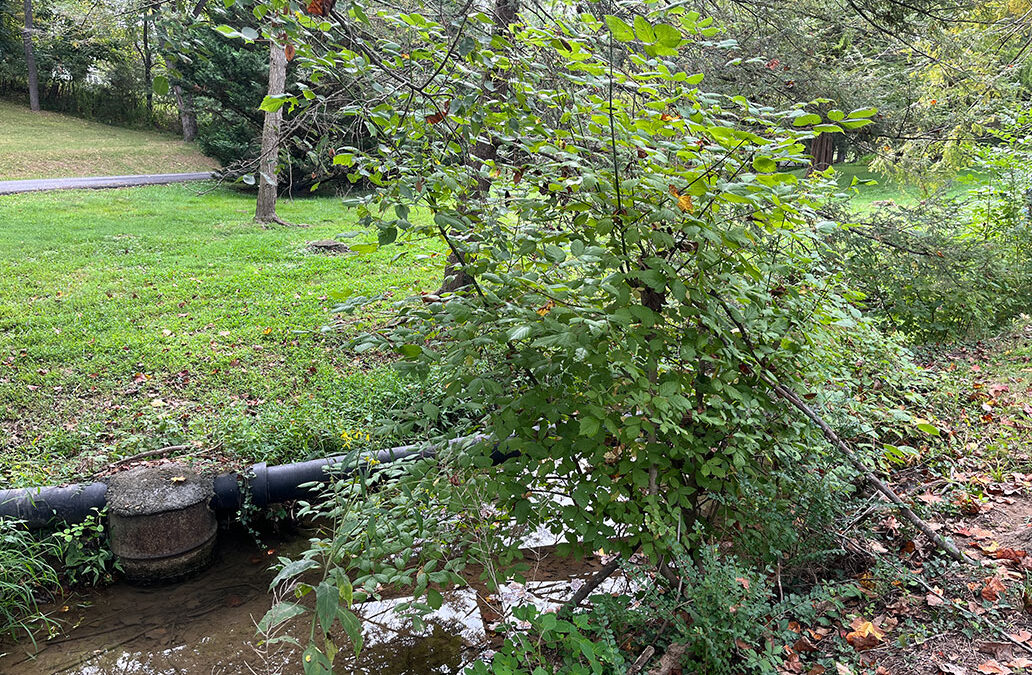 Conservation Reserve Enhancement Program (CREP) | James River Consortium