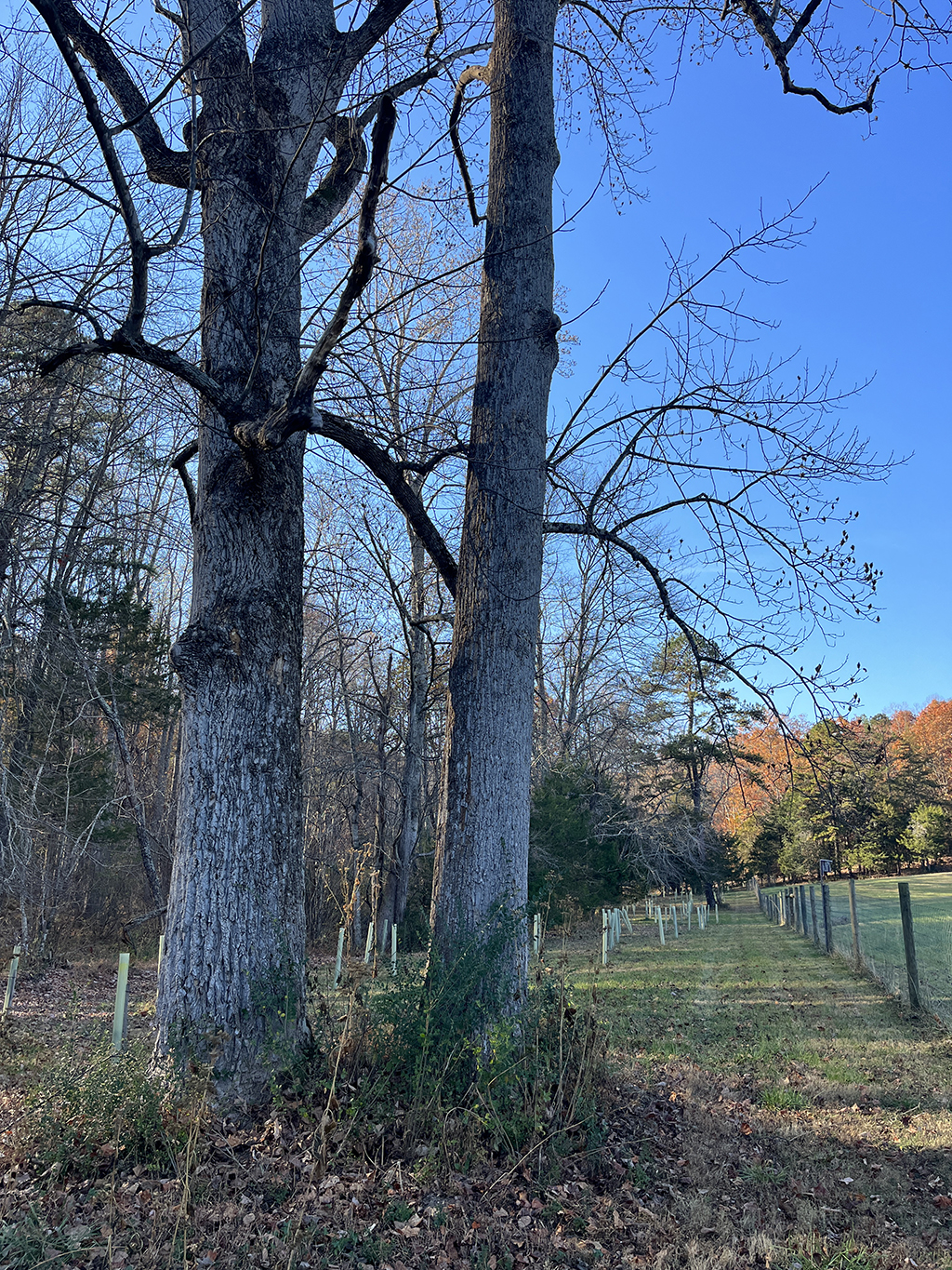 News & Events | James River Consortium