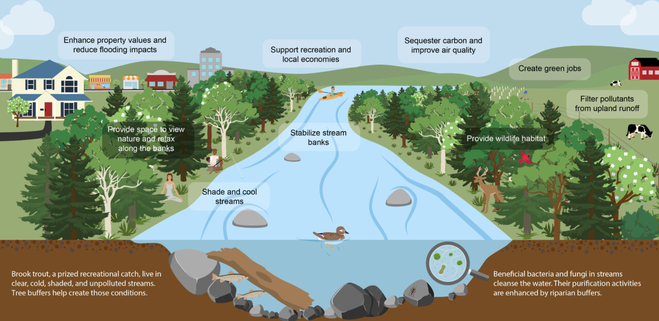 James River Consortium